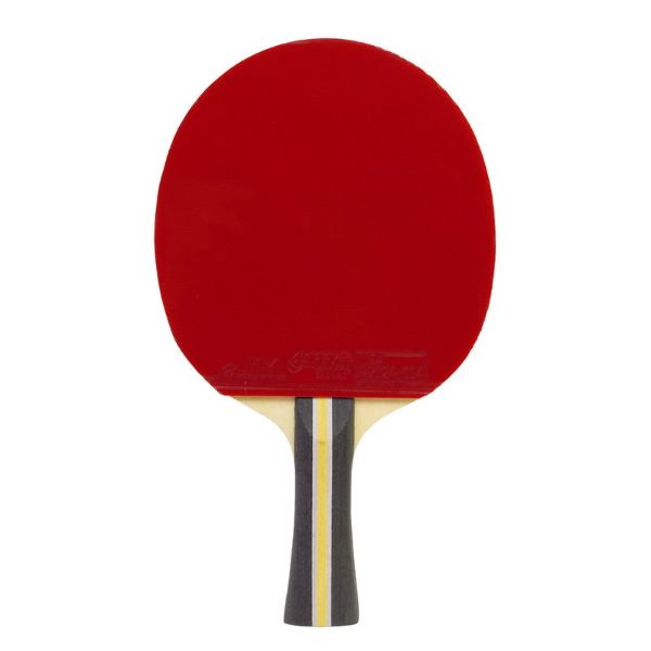 DHS - Table Tennis Racket 3 stars Long Handle, In (Two Sides) (3002 ...